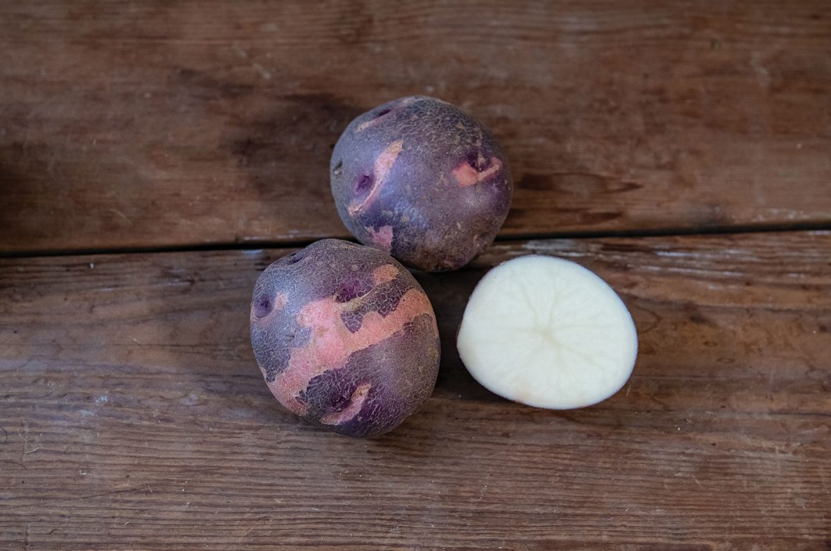 Buy Purple Viking – Organic Seed Potatoes Online – Bijaseeds