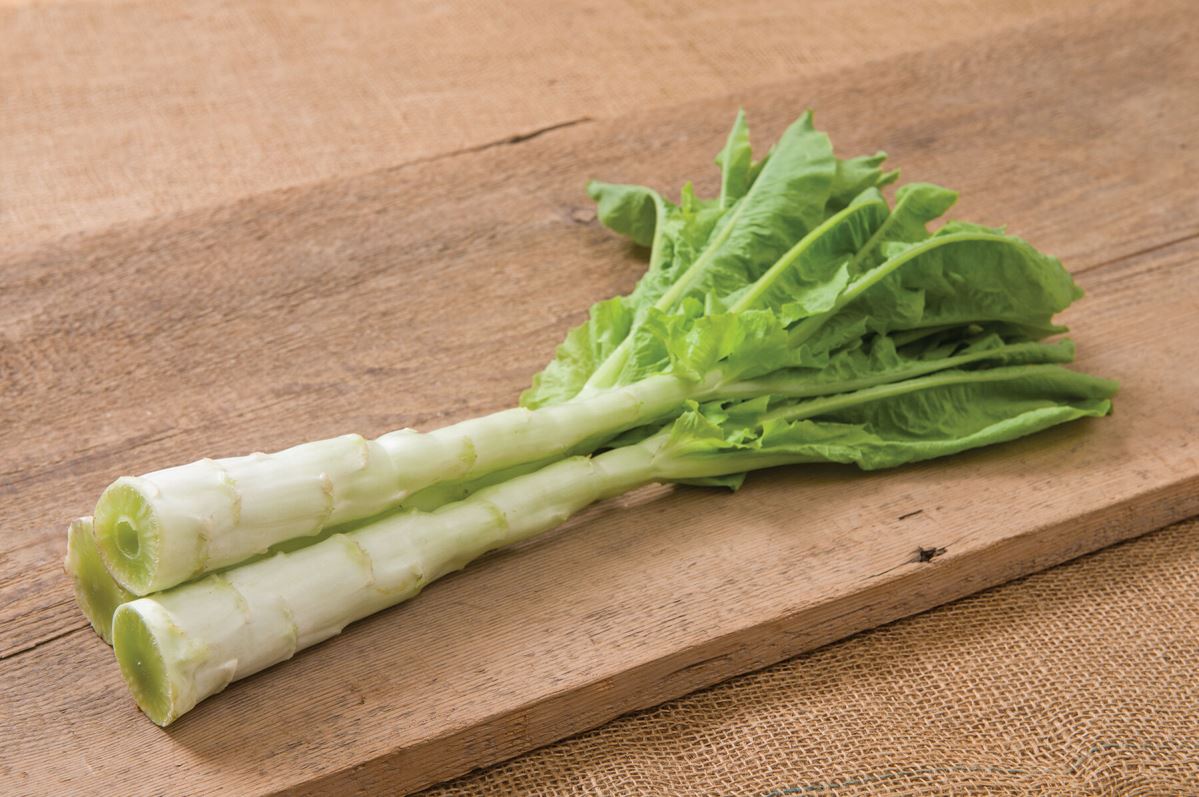 Buy Spring Tower Seeds – Celtuce – Bijaseeds